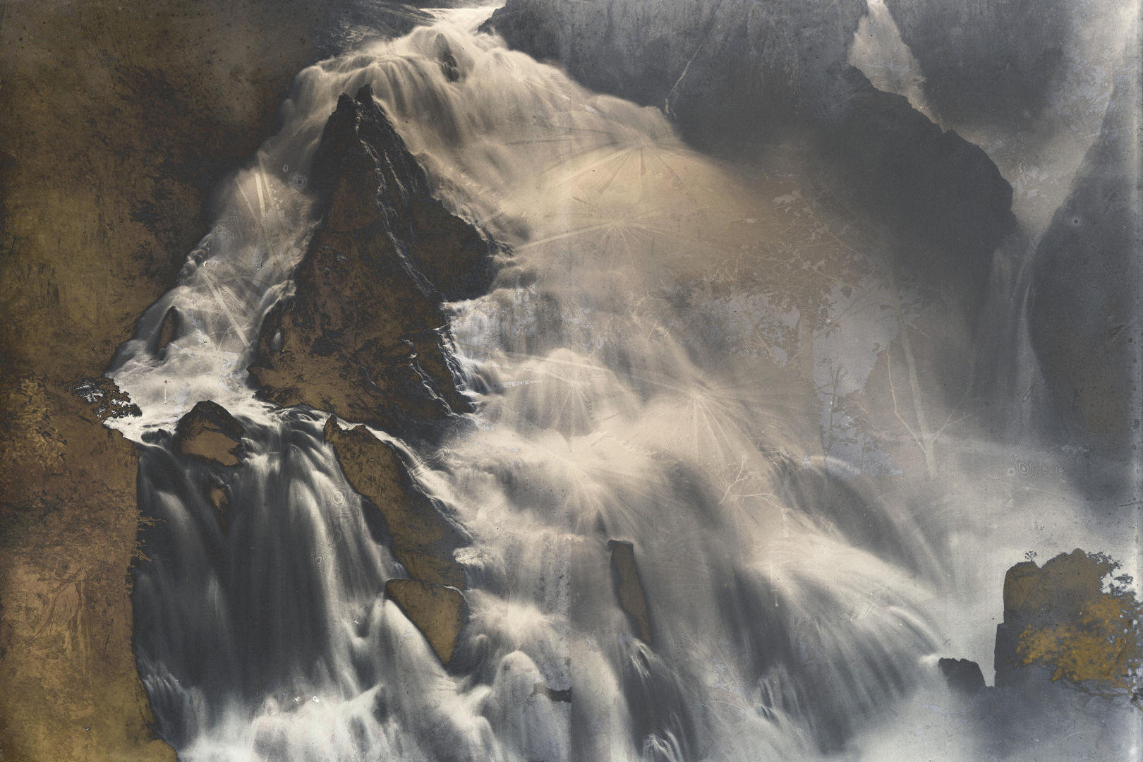 Themes in the exhibition