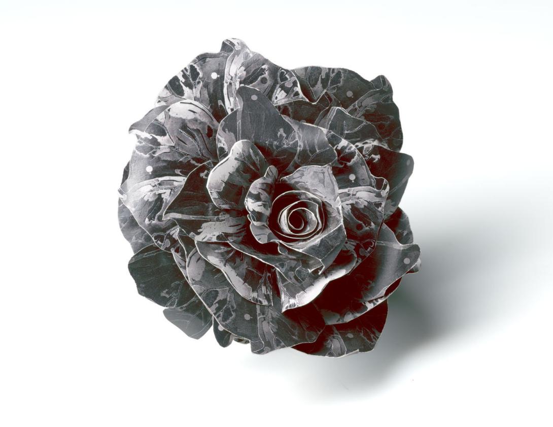 The Nightingale and the Rose 2015